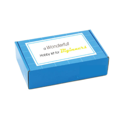 2 DIGIT OBJECT COUNTER PROJECT KIT | TEKPARTS